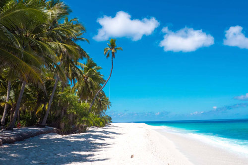 Adminor - Codeigniter Admin Panel Dashboard Template