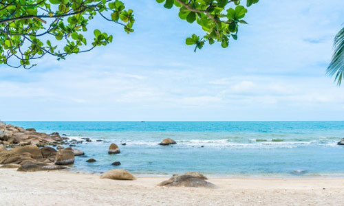 Adminor - Codeigniter Admin Panel Dashboard Template