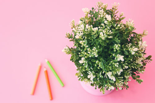 Adminor - Codeigniter Admin Panel Dashboard Template