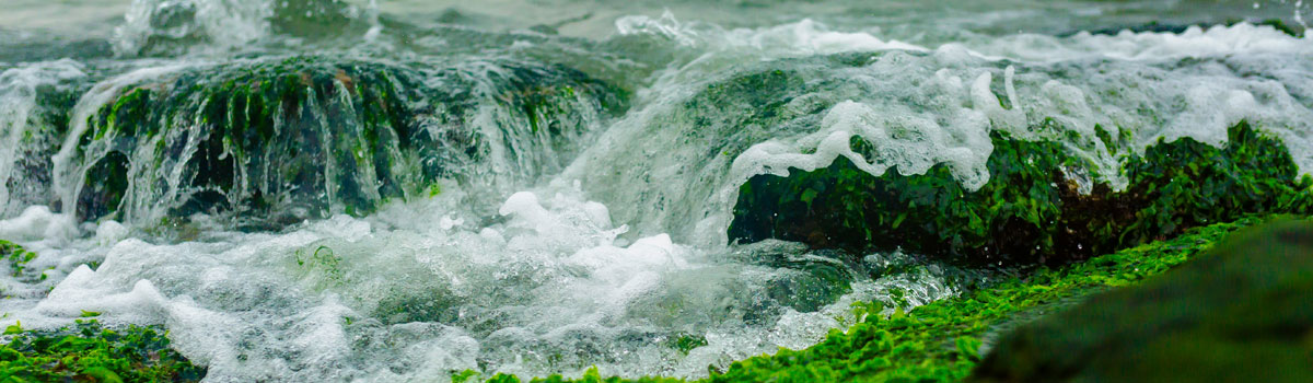 SCIFI - Codeigniter Bootstrap 5 Premium Admin & Dashboard Template