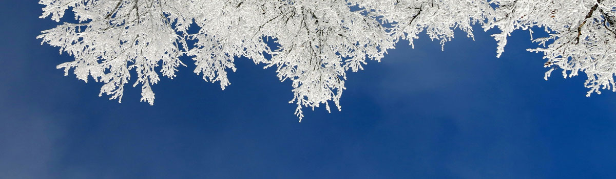 Xintra - Codeigniter Bootstrap 5 Premium Admin & Dashboard Template