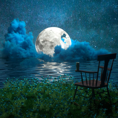 Xintra - Codeigniter Bootstrap 5 Premium Admin & Dashboard Template