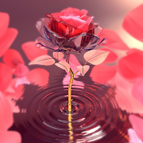 Xintra - Codeigniter Bootstrap 5 Premium Admin & Dashboard Template